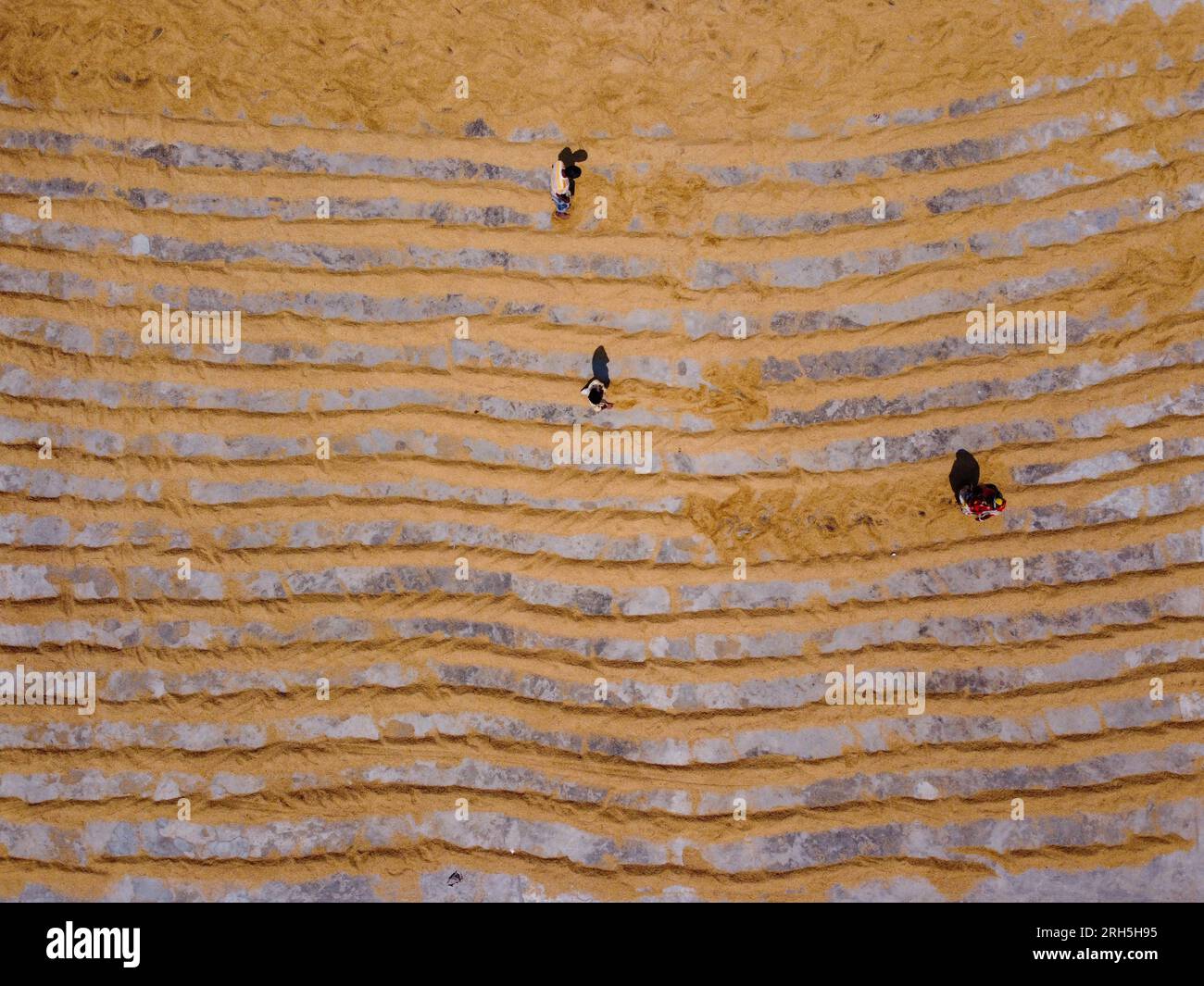 Very hot sun drying rice hi-res stock photography and images - Alamy