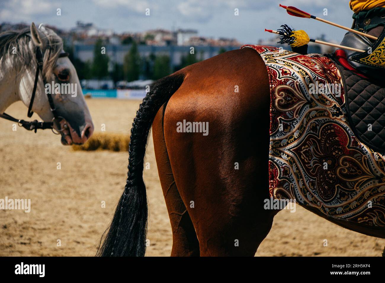 Old style wooden arrows in the case on horseback Stock Photo - Alamy
