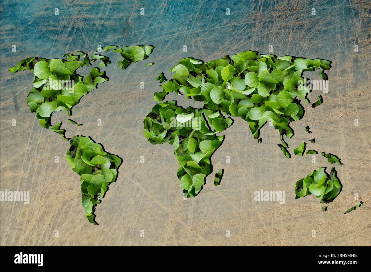 Roughly outlined world map with green plants filling Stock Photo - Alamy