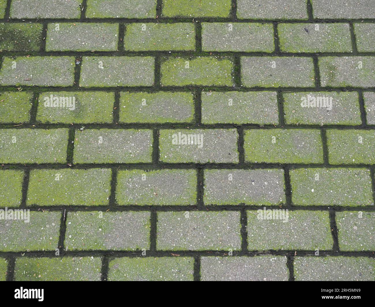 mossy concrete tiles texture useful as a background Stock Photo - Alamy