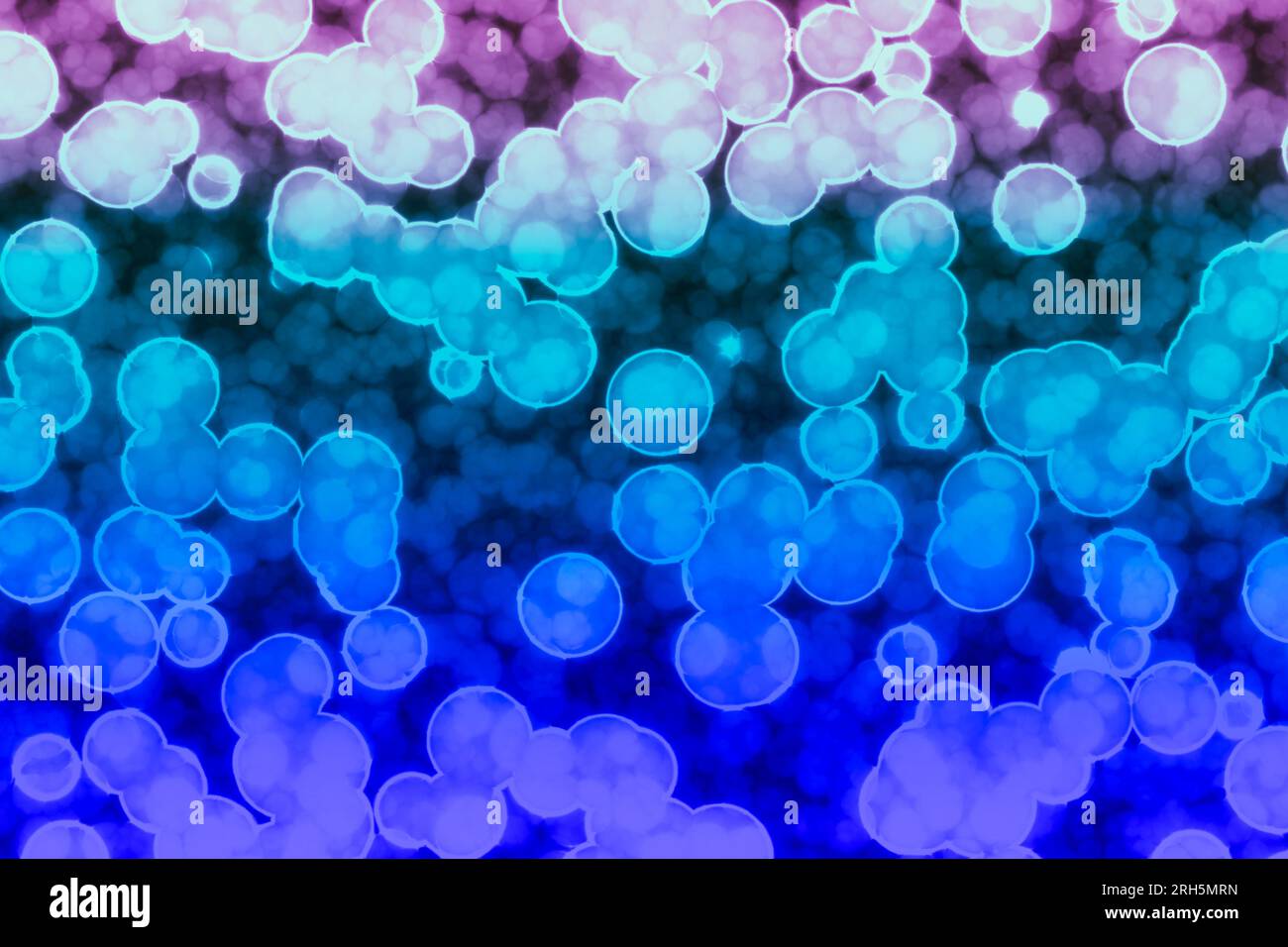 Shape of bacterial cell: cocci, bacilli, spirilla bacteria Stock Photo ...