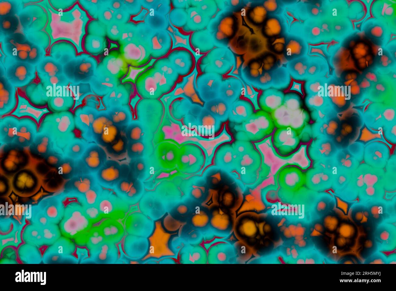 Shape of bacterial cell: cocci, bacilli, spirilla bacteria Stock Photo ...