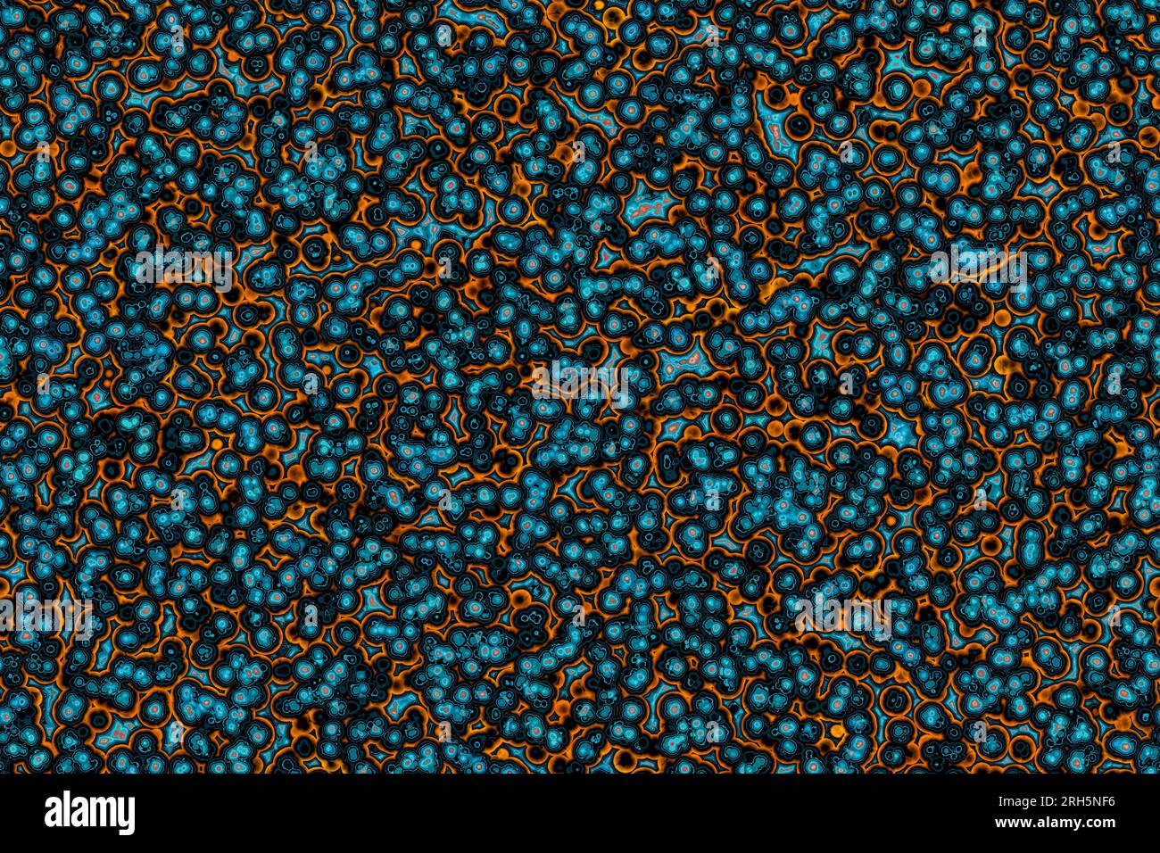 Shape of bacterial cell: cocci, bacilli, spirilla bacteria Stock Photo ...
