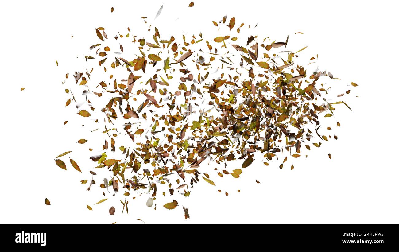 leaves flying in the wind, isolated on white background Stock Photo - Alamy