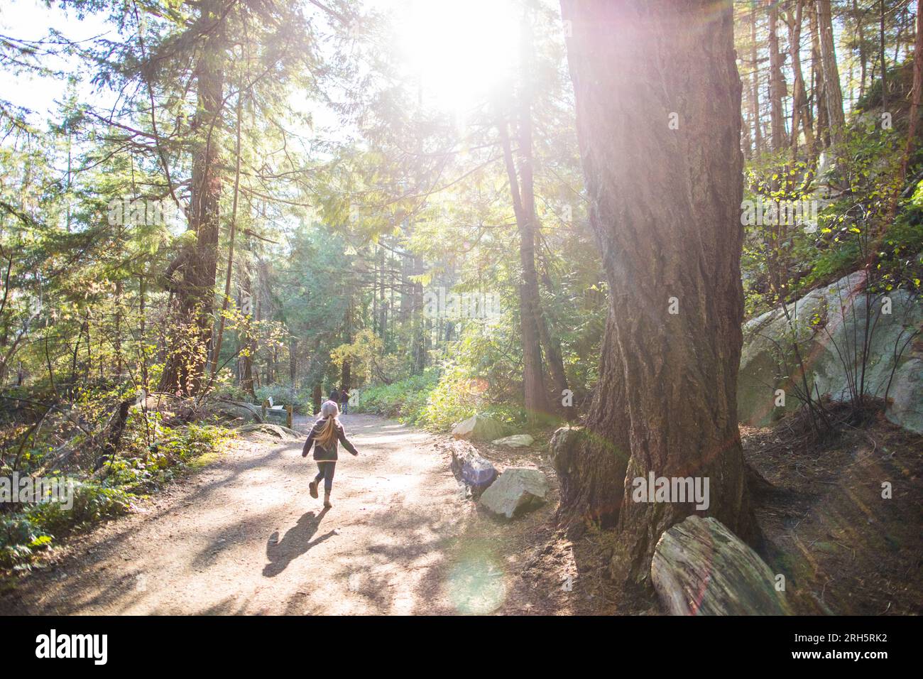 Girl, 5,, running through forest on trail towards sun Stock Photo - Alamy