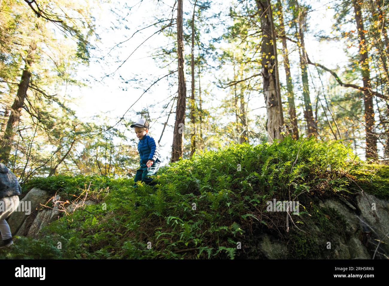 Wild island family adventure park hi-res stock photography and images ...