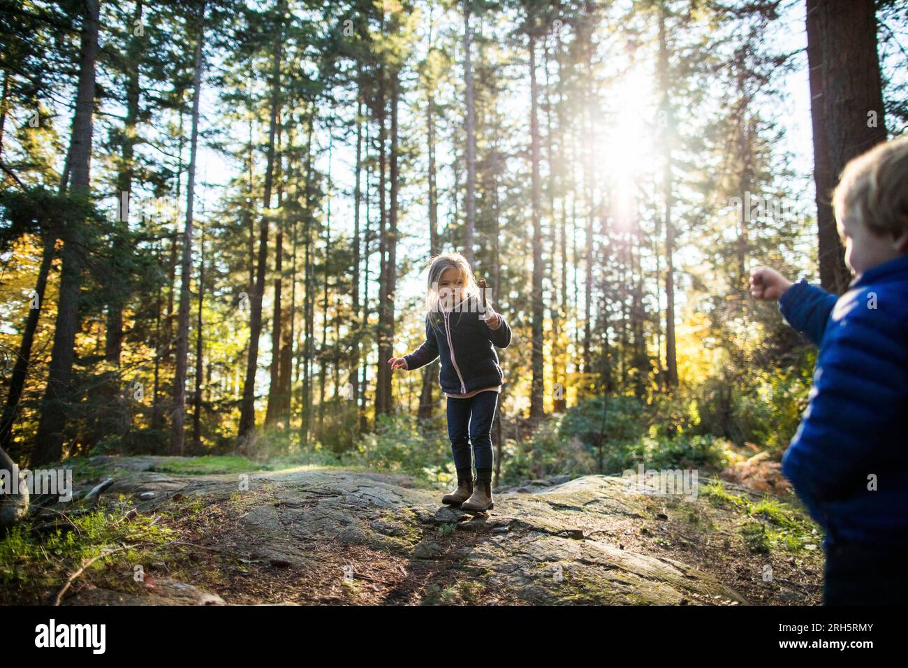 Nature forest explore siblings hi-res stock photography and images - Alamy