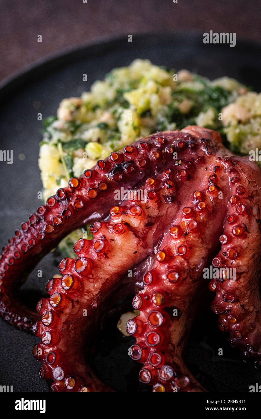 Roasted octopus. Potato, cabbage, beans Stock Photo - Alamy