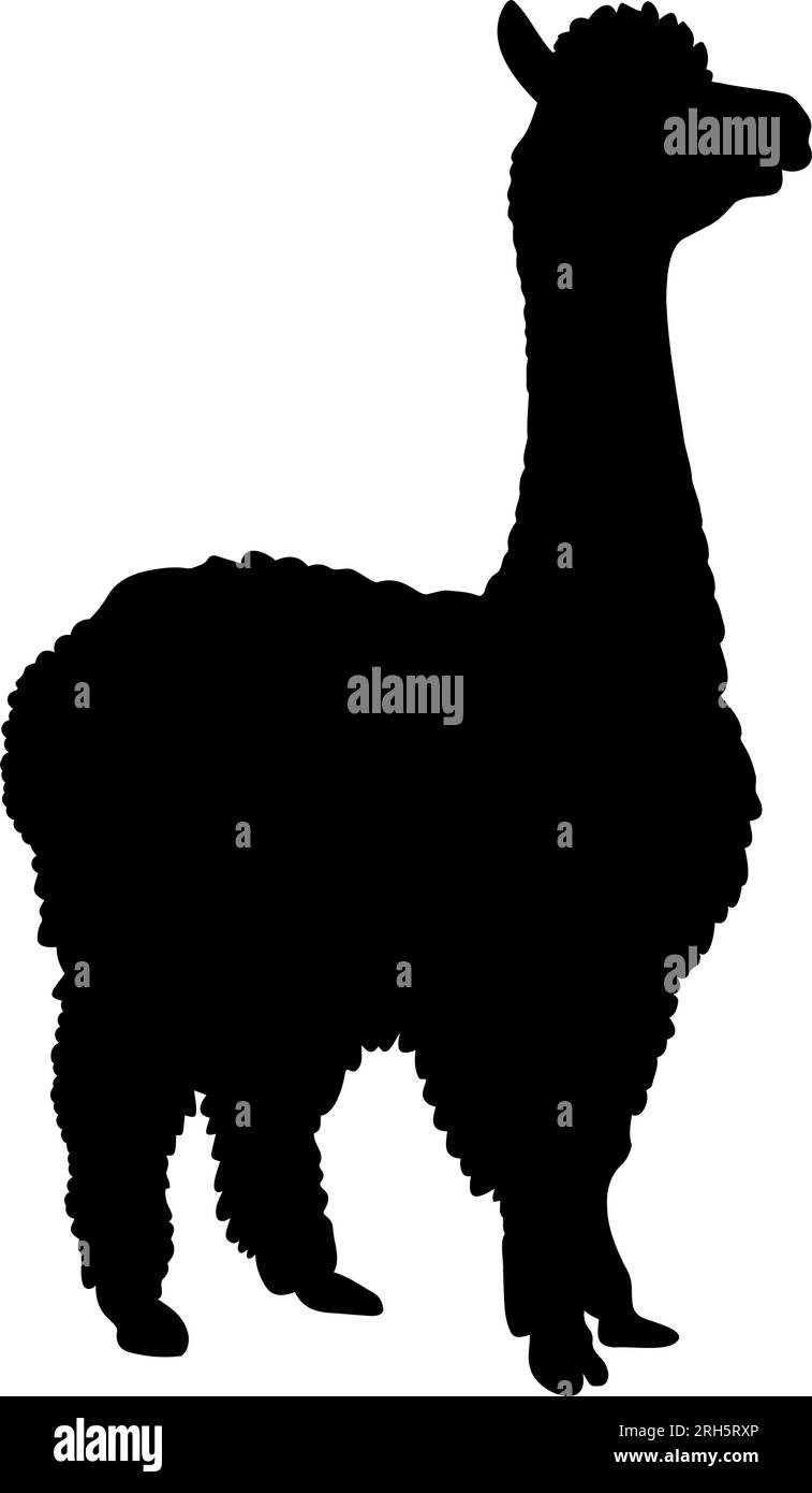 Alpaca silhouette icon symbol. Vector illustration Stock Vector Image ...