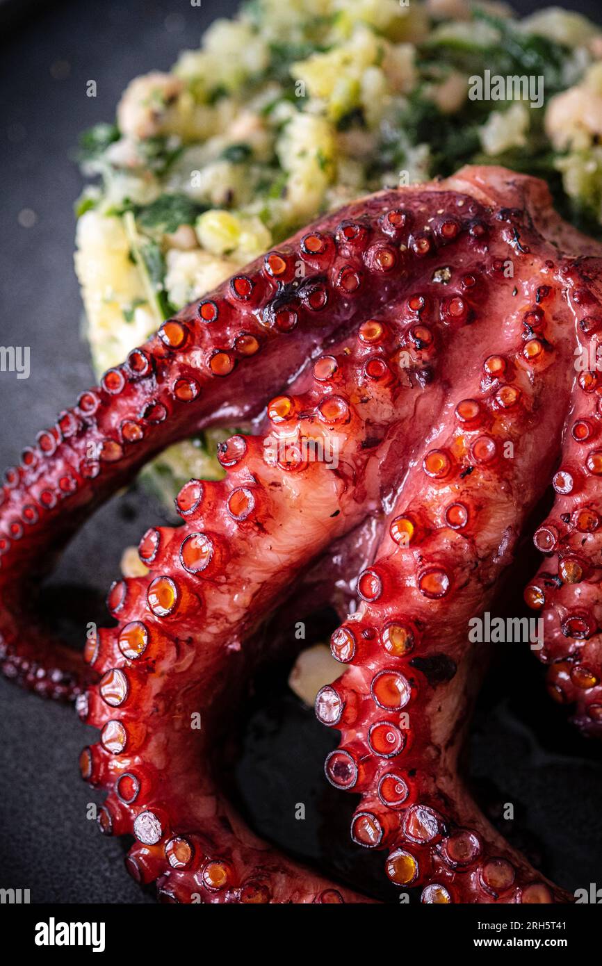 Roasted octopus. Potato, cabbage, beans Stock Photo - Alamy