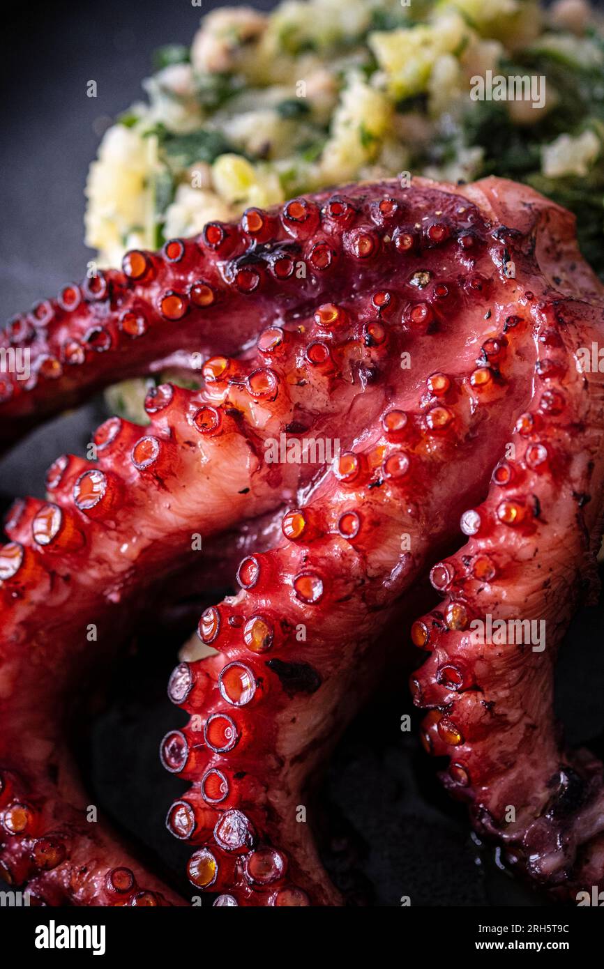 Roasted octopus. Potato, cabbage, beans Stock Photo - Alamy