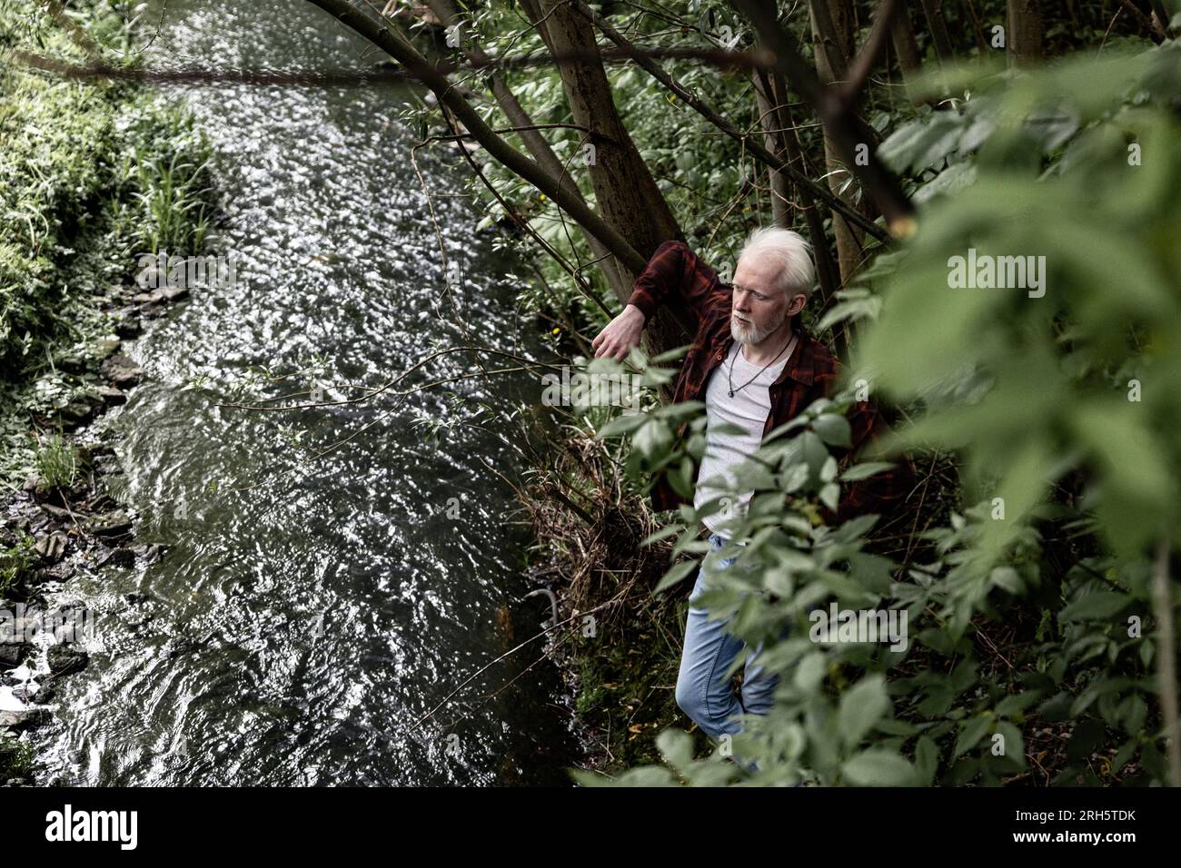 Half standard tree hi-res stock photography and images - Alamy