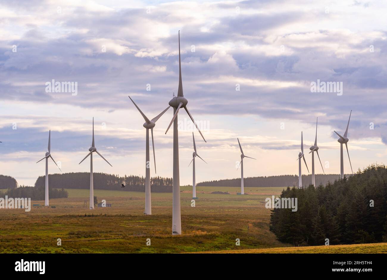 Soutra, UK. 14th Aug, 2023. Sutra Wind Farm, Scottish Borders. Wind ...