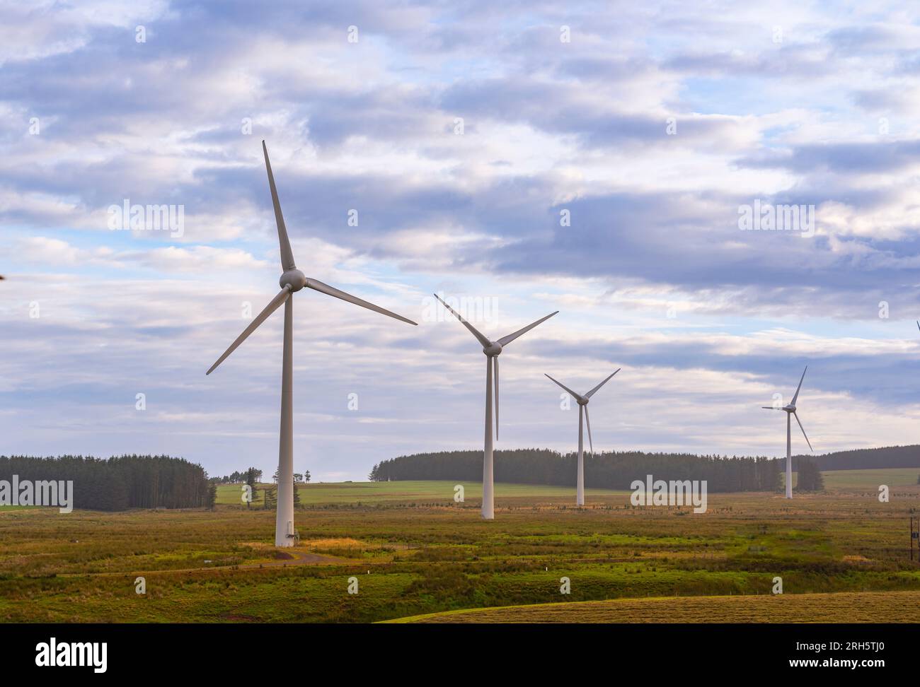 Soutra, UK. 14th Aug, 2023. Sutra Wind Farm, Scottish Borders. Wind ...