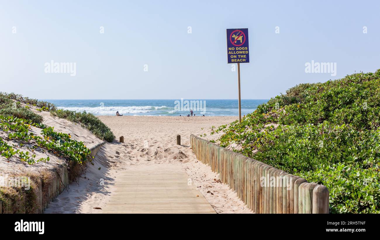 Beach public passage walking path with no dogs allowed sign between ...