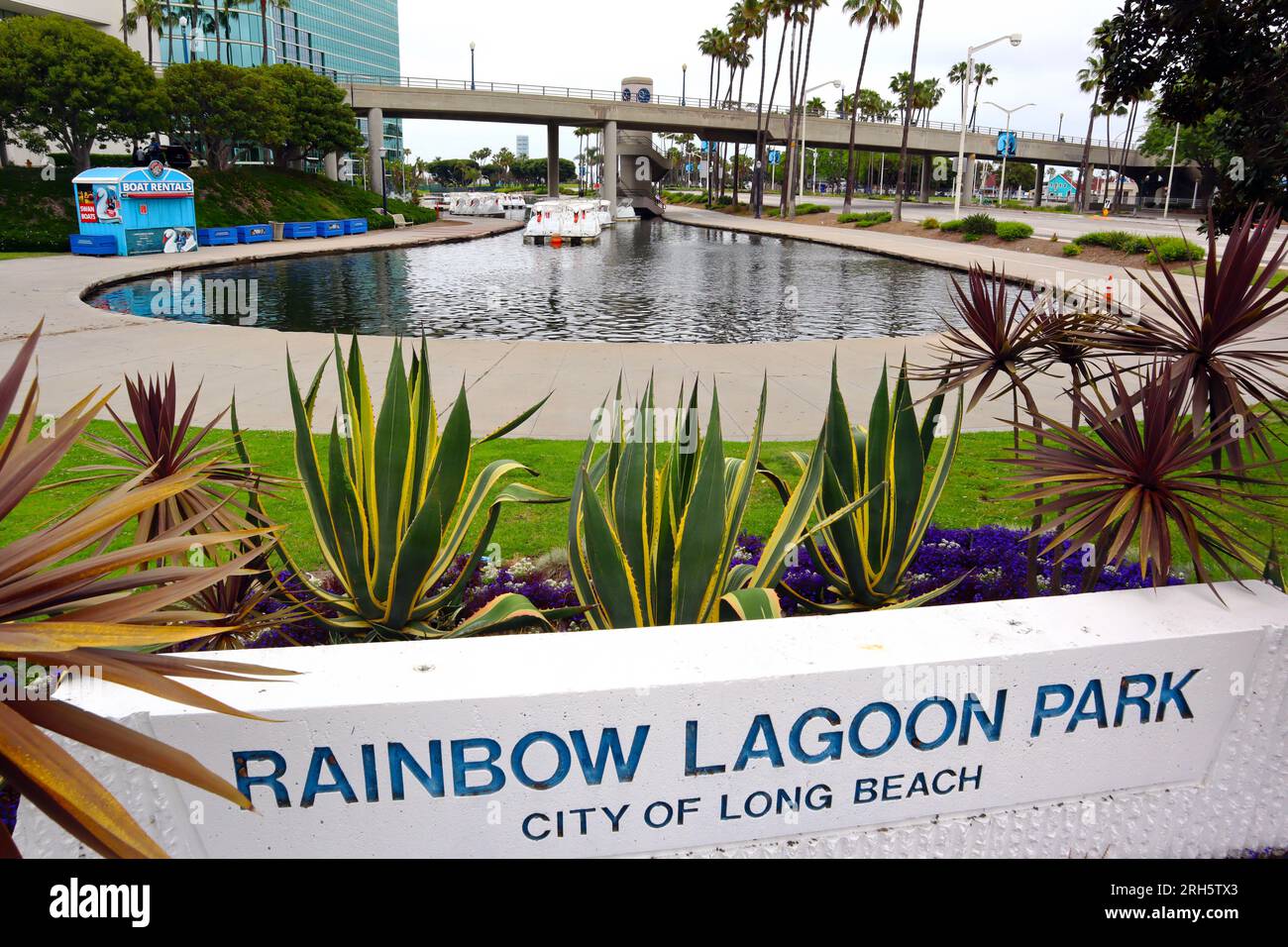 Long Beach, California: Rainbow Lagoon Park located north of Shoreline ...