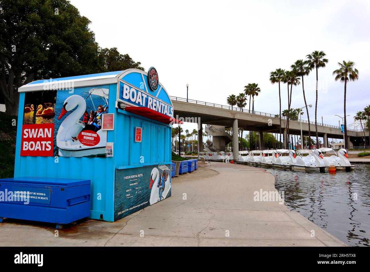 Long Beach, California: Rainbow Lagoon Park with Swan Boat Rental ...
