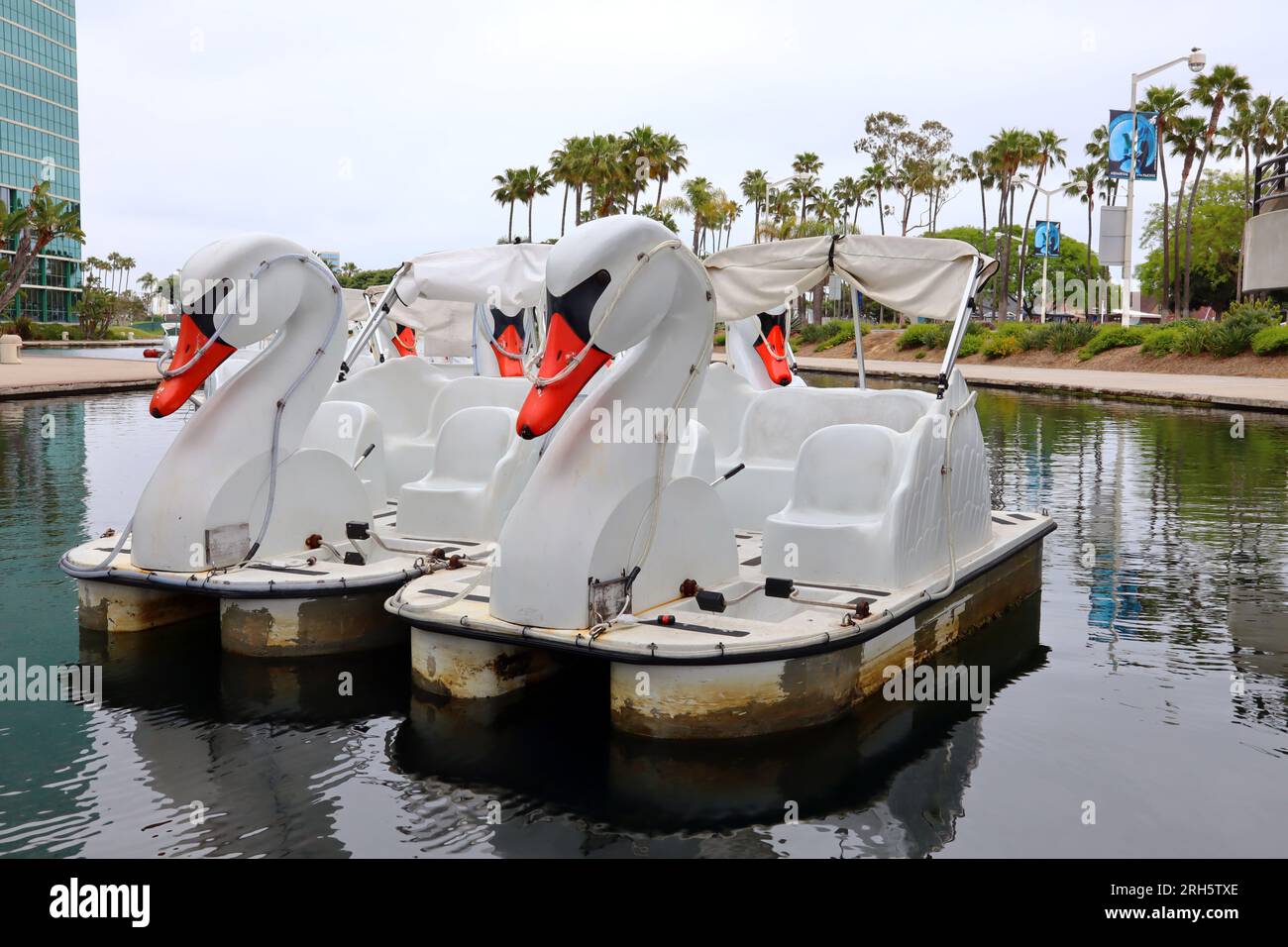Long Beach, California: Rainbow Lagoon Park with Swan Boat Rental ...
