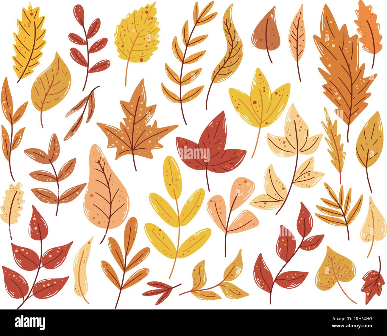 Hand drawn set autumn leaves. Bright colorful collection fall foliage. Leaf of ash, oak, maple ...
