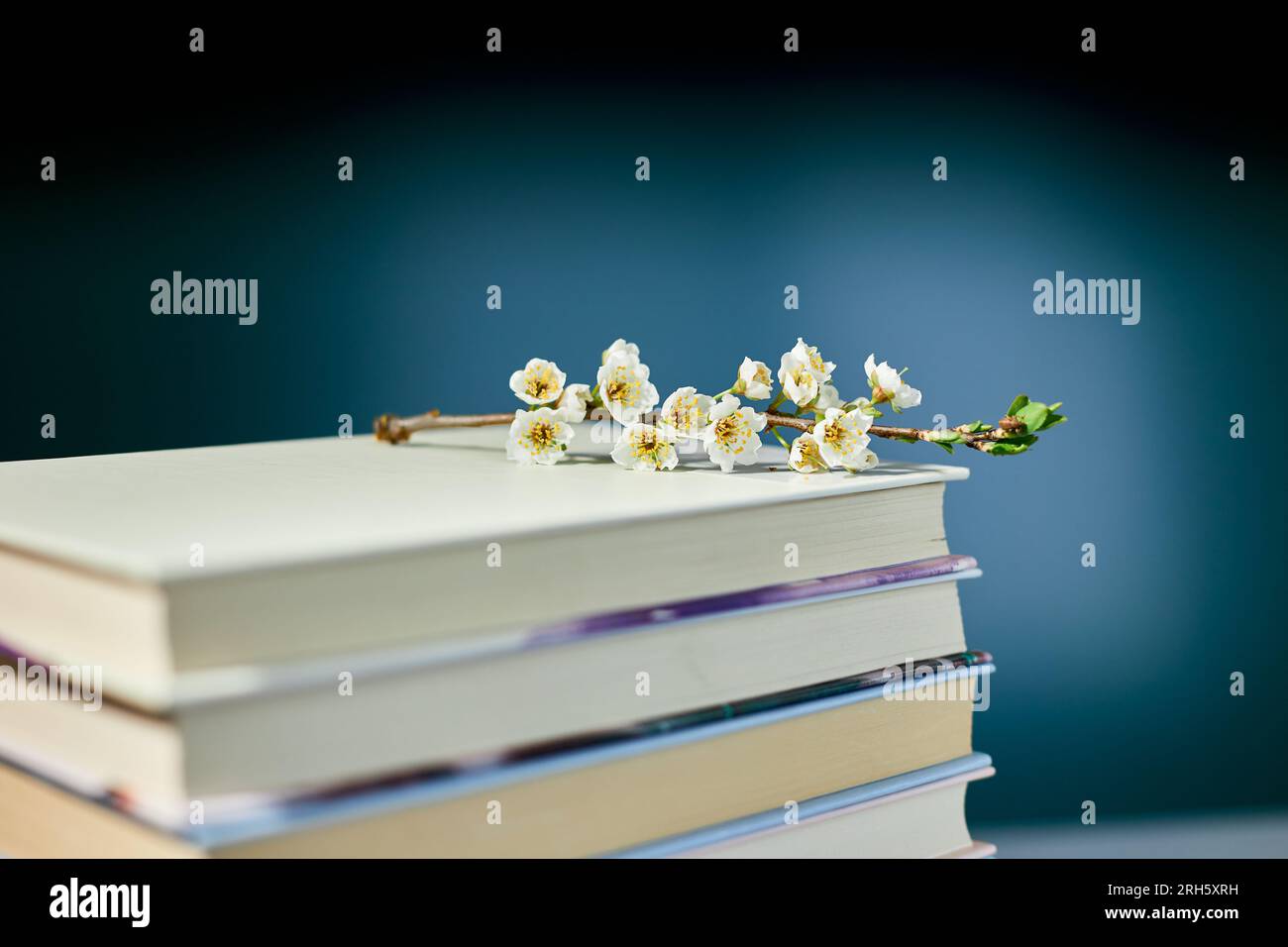 Stack of books with branch flowers, World book day, knowledge and ...