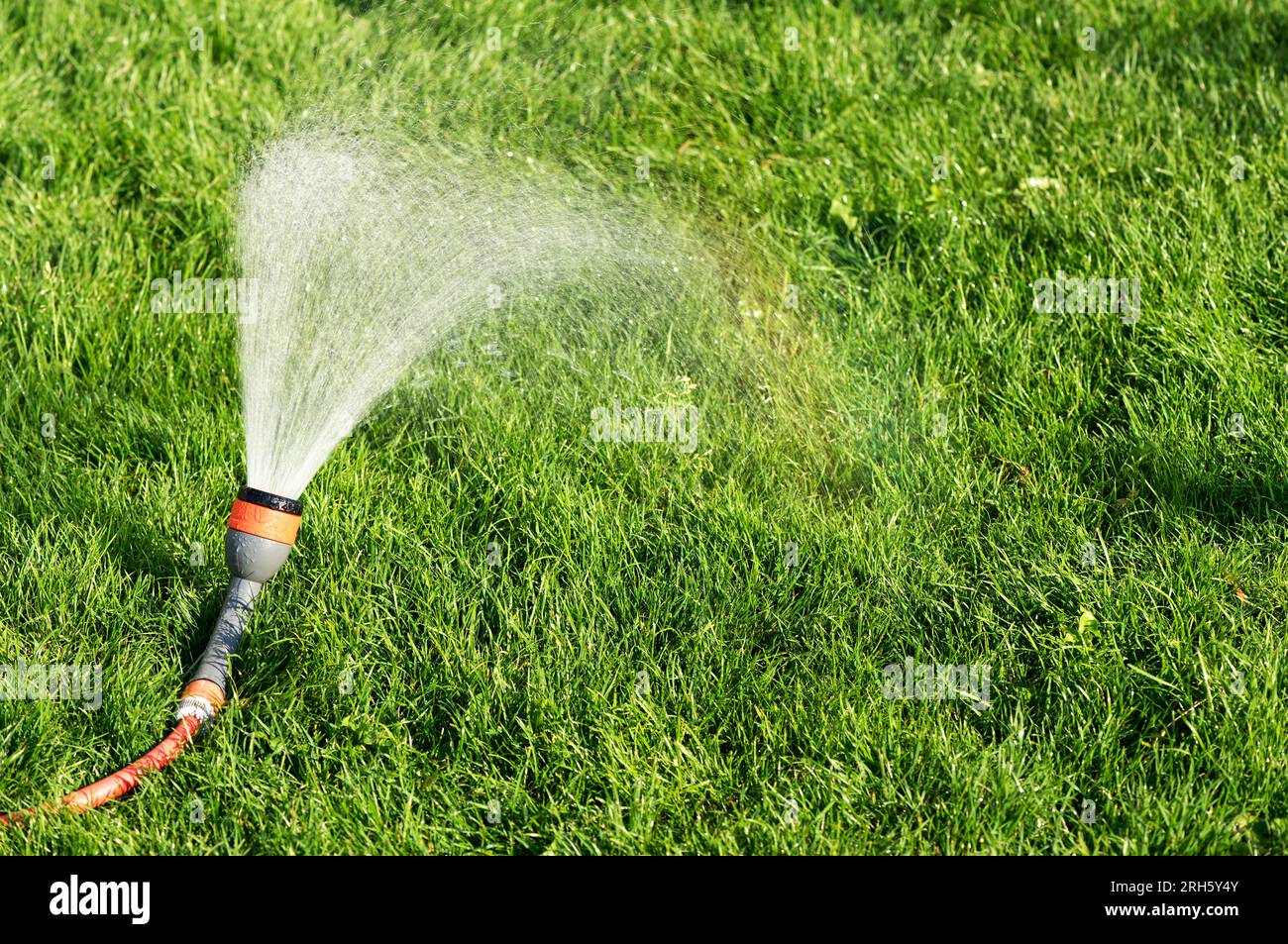 Watering garden from hose hi-res stock photography and images - Alamy