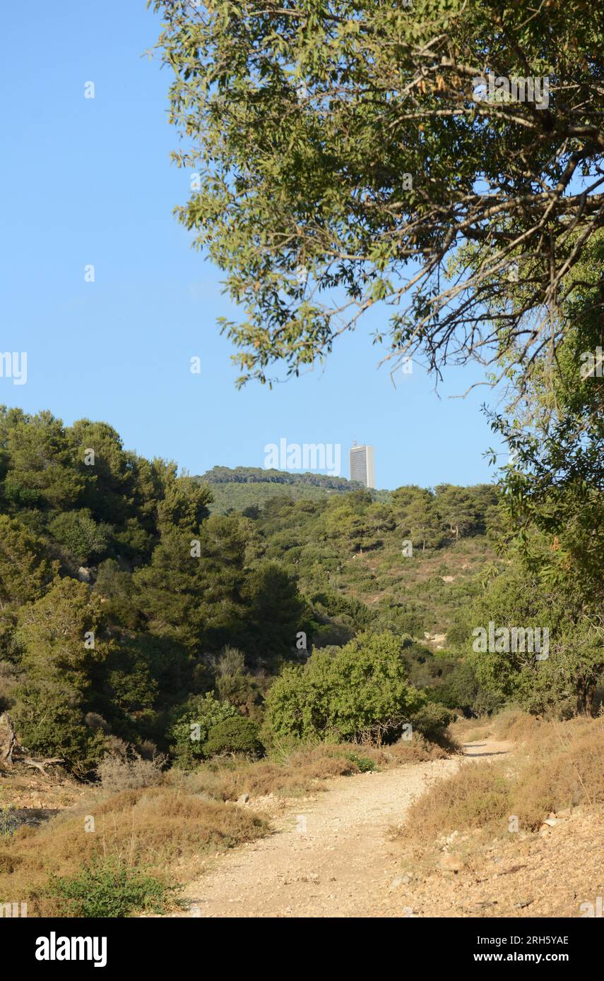 Hiking in the Carmel Mountains nature reserve in Israel Stock Photo - Alamy