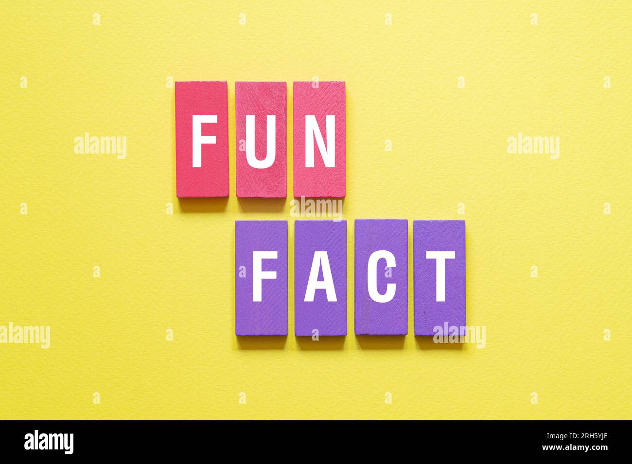 Fun fact - word concept on building blocks, text Stock Photo - Alamy