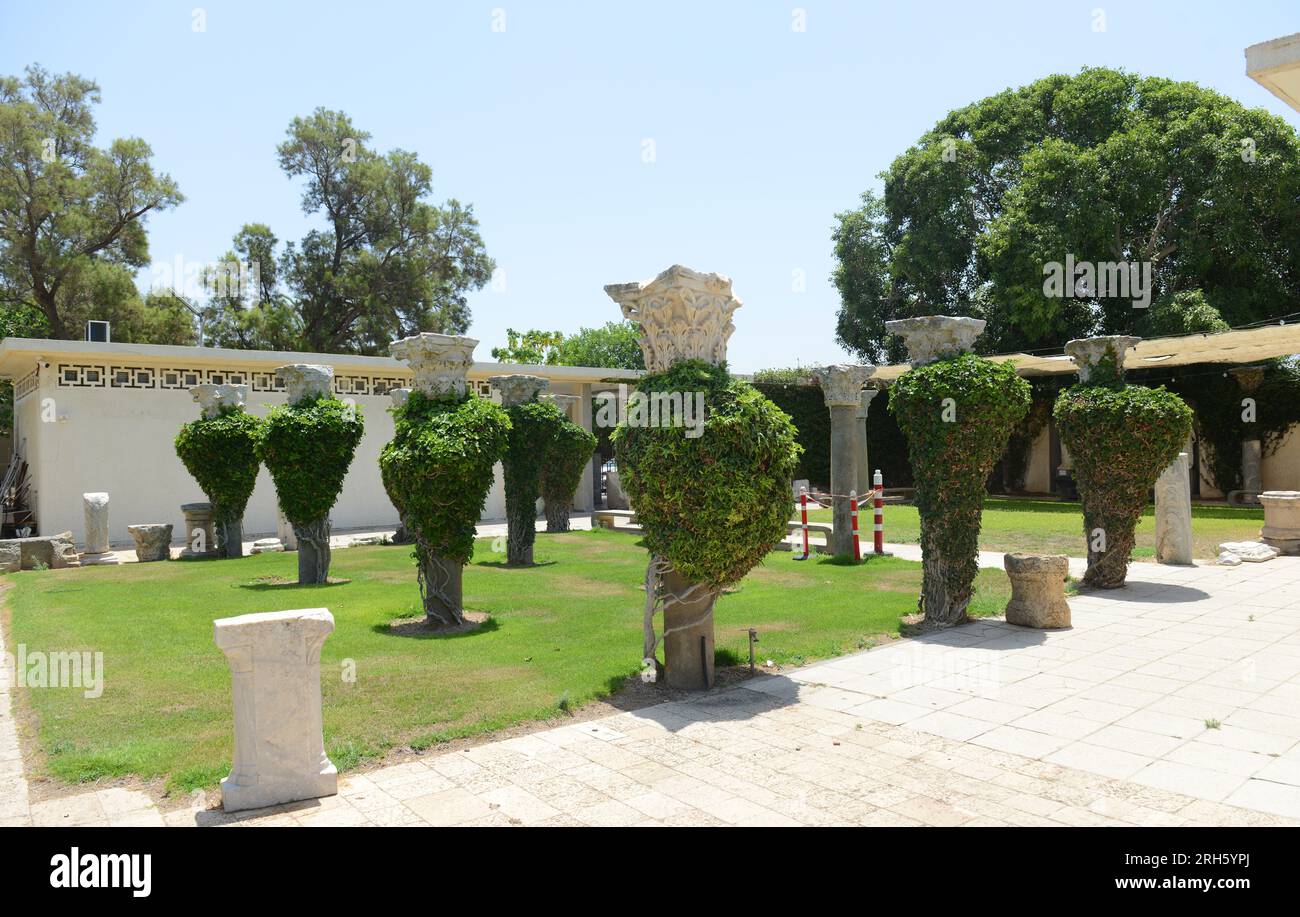 The archeological museum in Kubbutz Sdot Yam, Israel Stock Photo - Alamy