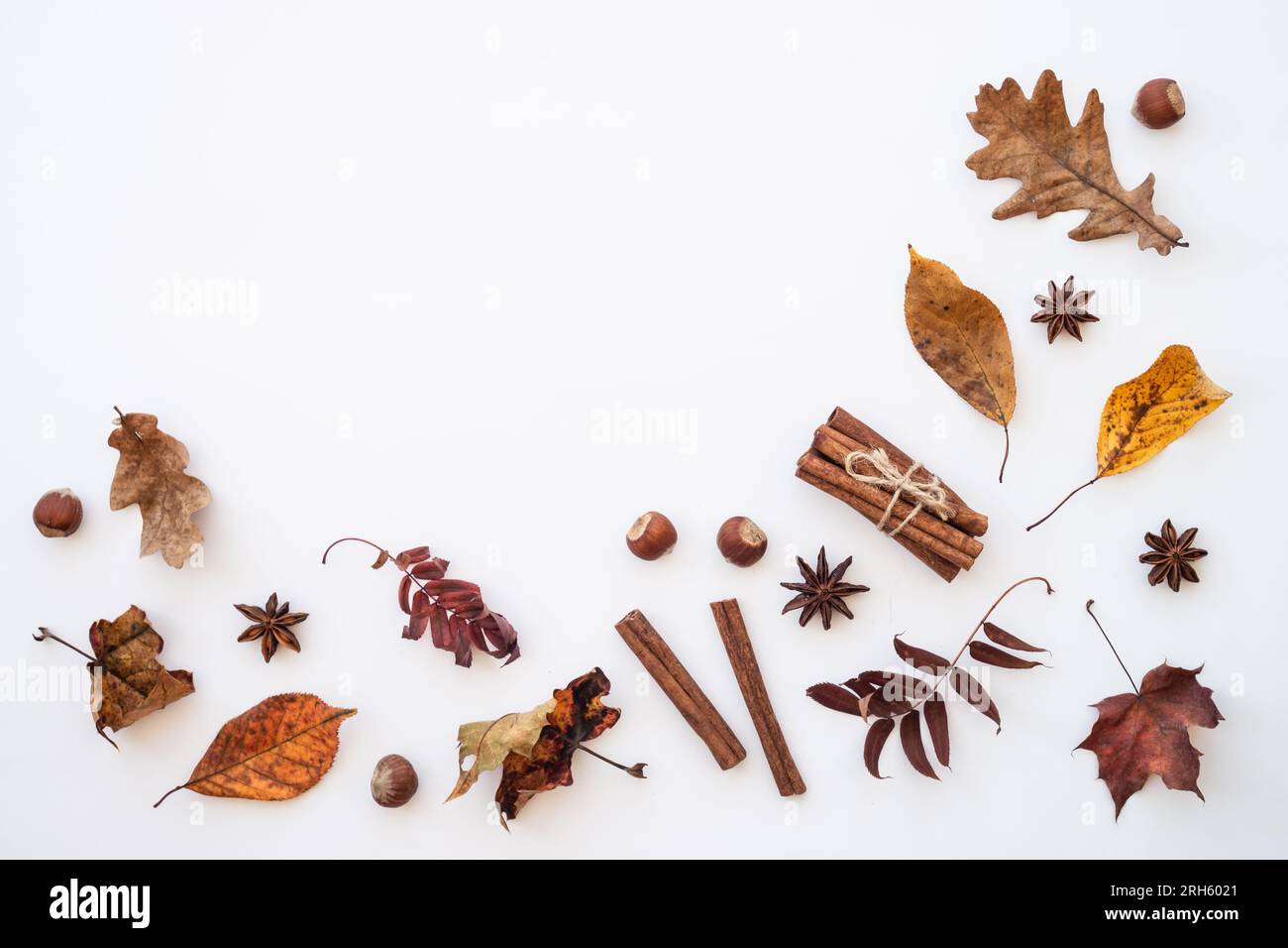 Autumn flat lay background on white Stock Photo - Alamy