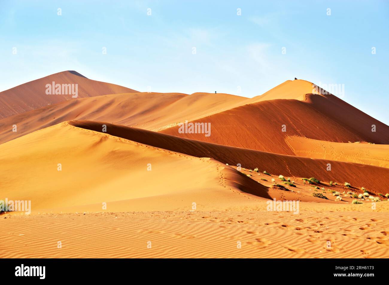Namibia. Sand dunes at Sossusvlei. Namib Naukluft National Park Stock ...