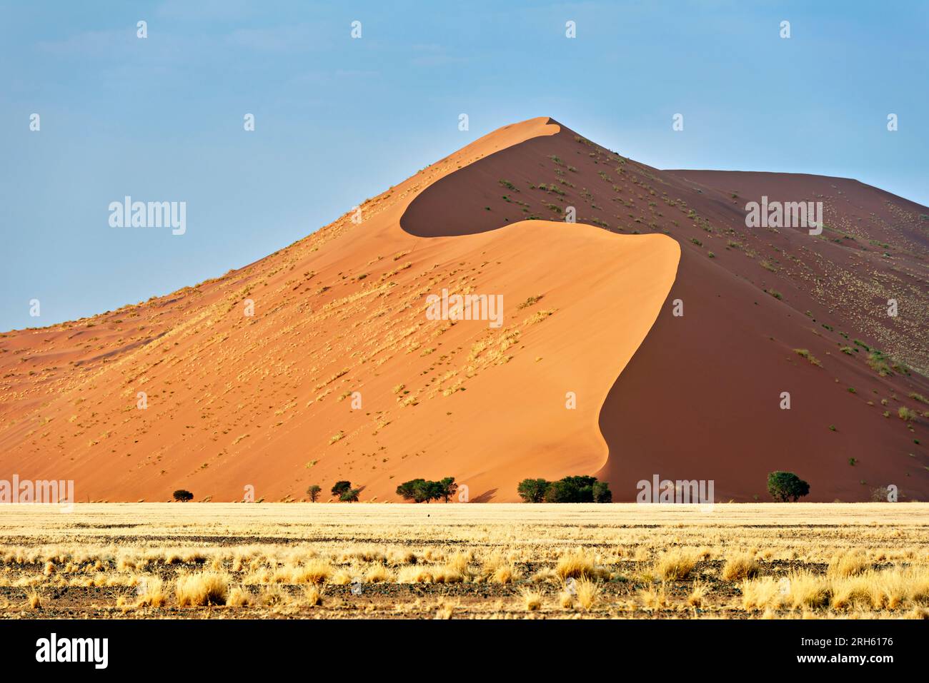 Namib Desert Dunes