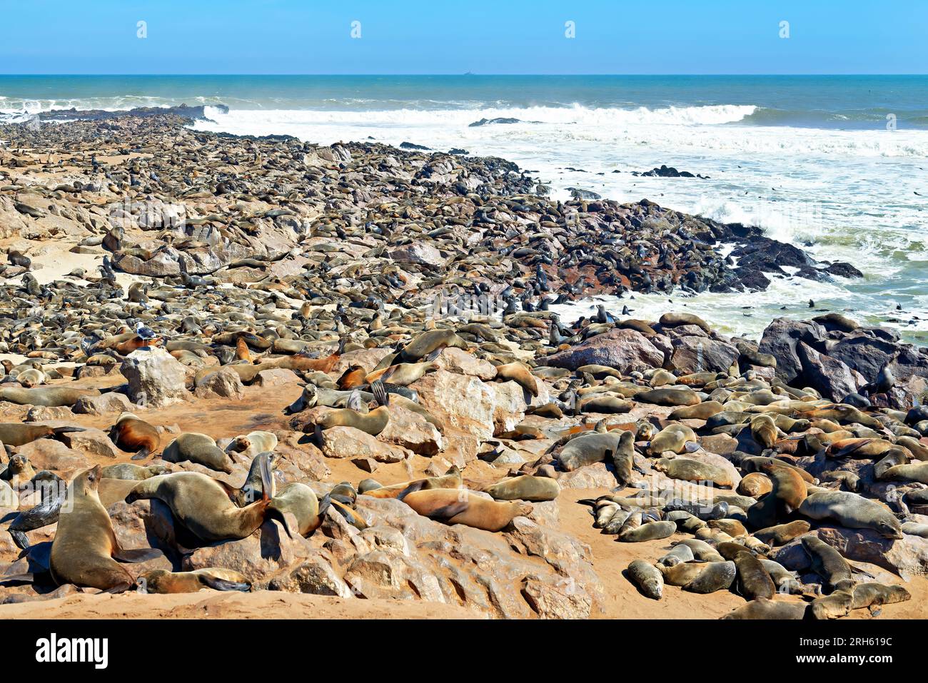 Namibia skeleton coast hi-res stock photography and images - Alamy