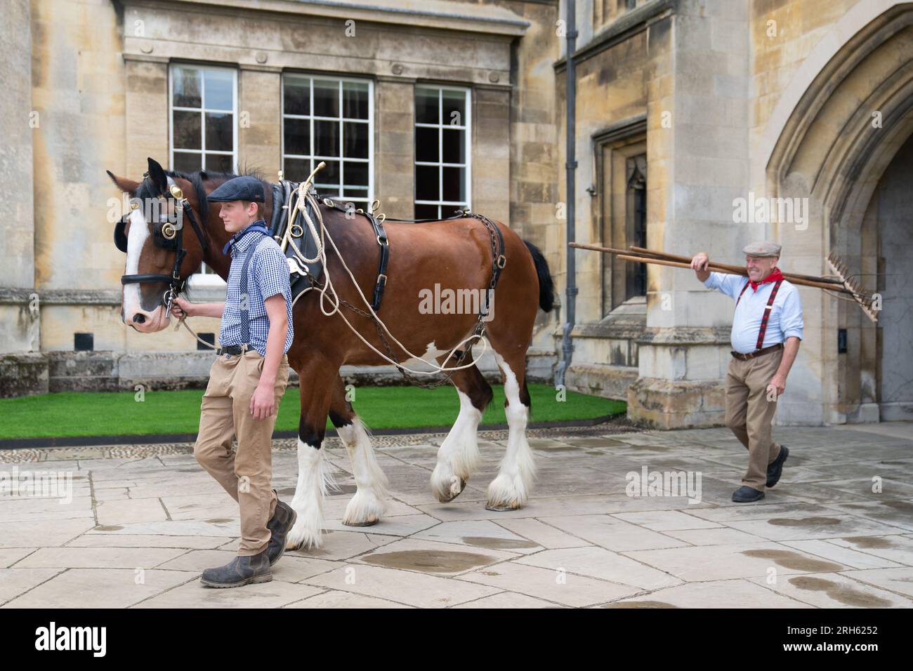 Toby Lawless leads shire horse Cosmo through King's College Cambridge ...