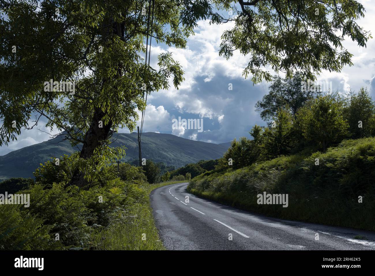 Tree and road in Scotland Stock Photo - Alamy