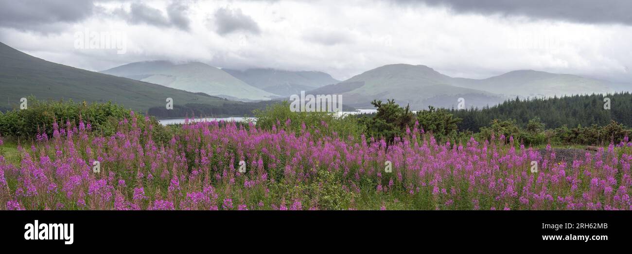 Loch Tulla Viewpoint Stock Photo - Alamy