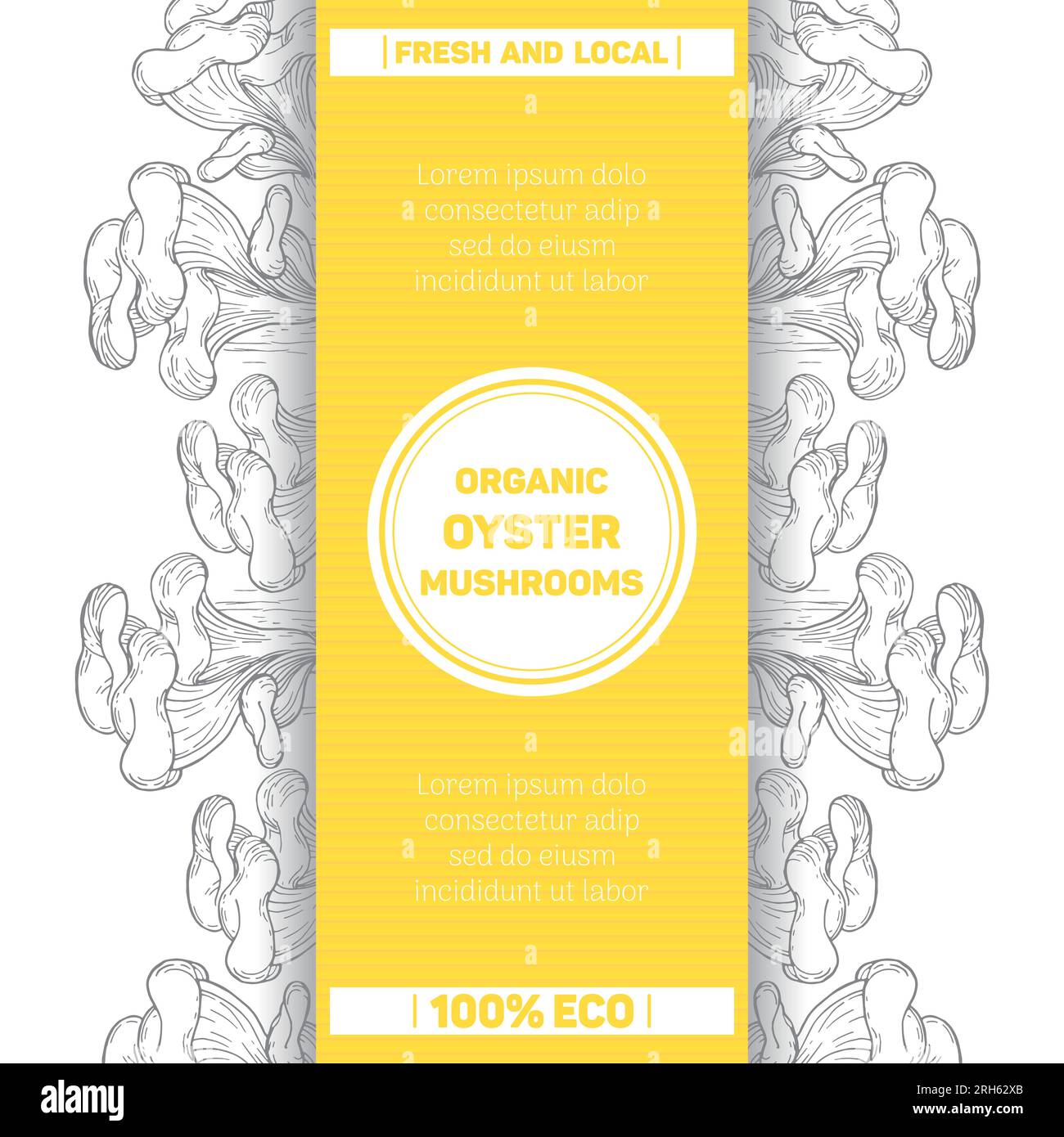 Organic oyster mushrooms. Packaging template mushrooms. Graphic vintage ...