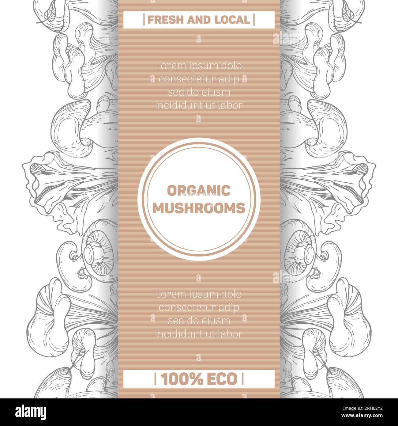 Organic mushrooms. Packaging template. Set of edible mushrooms. vintage ...