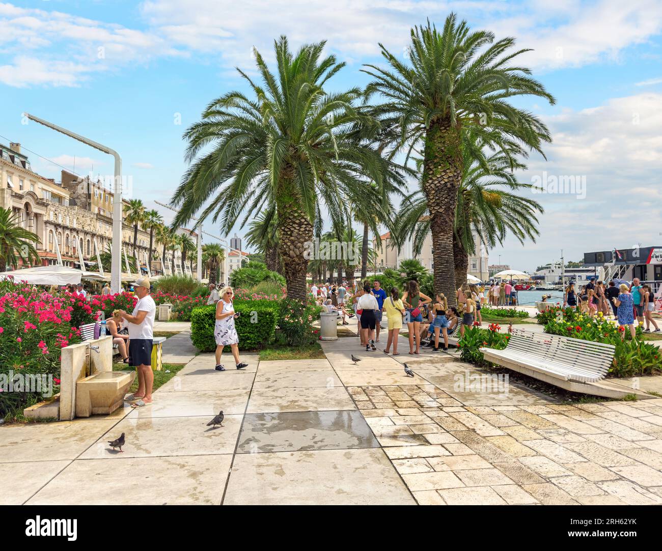 Central street of Split in summer Stock Photo - Alamy