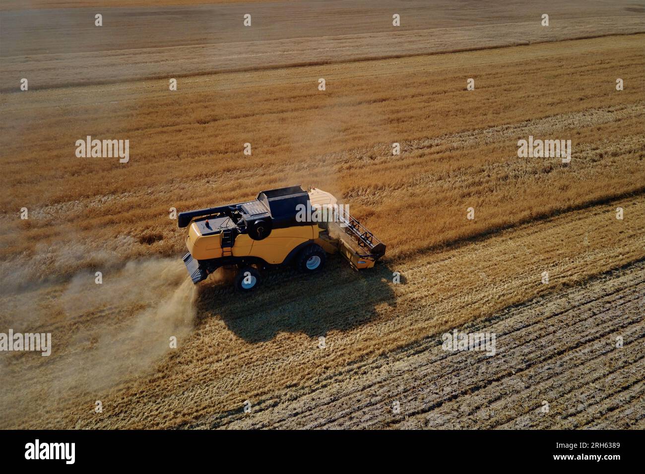 Harvesting machine working at agricultural field. Combine harvester ...