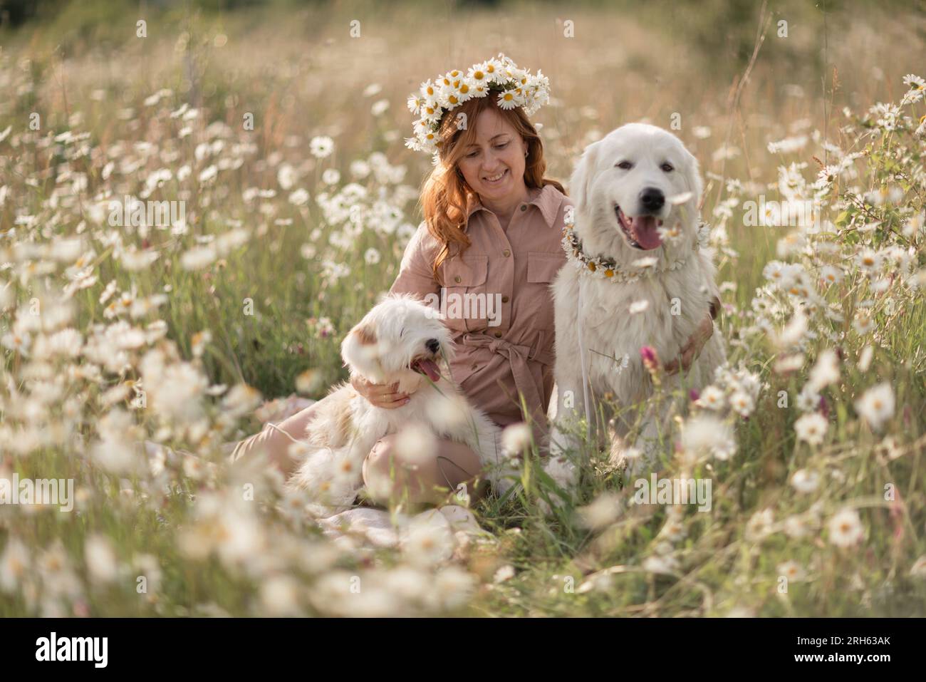 Woman embraces two dogs in hi-res stock photography and images - Alamy