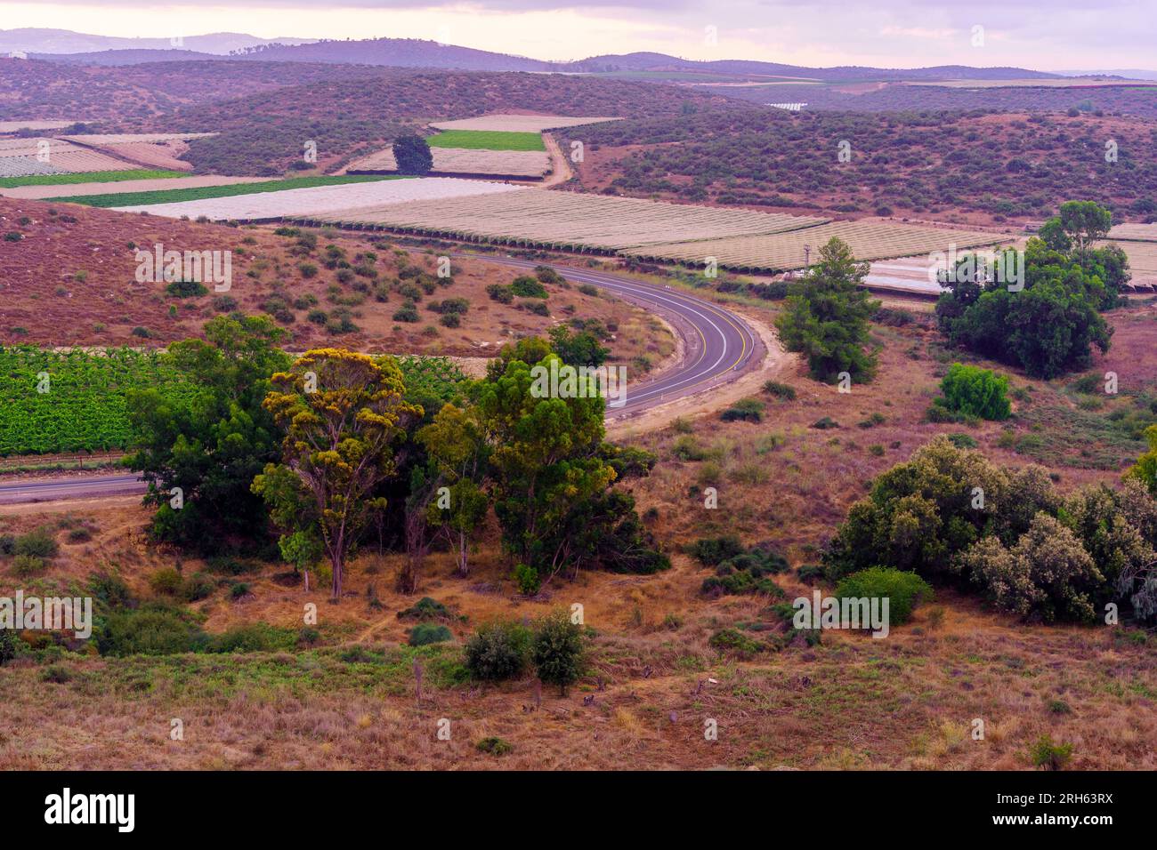 Sunrise view of countryside and rolling hills in the Shephelah region ...