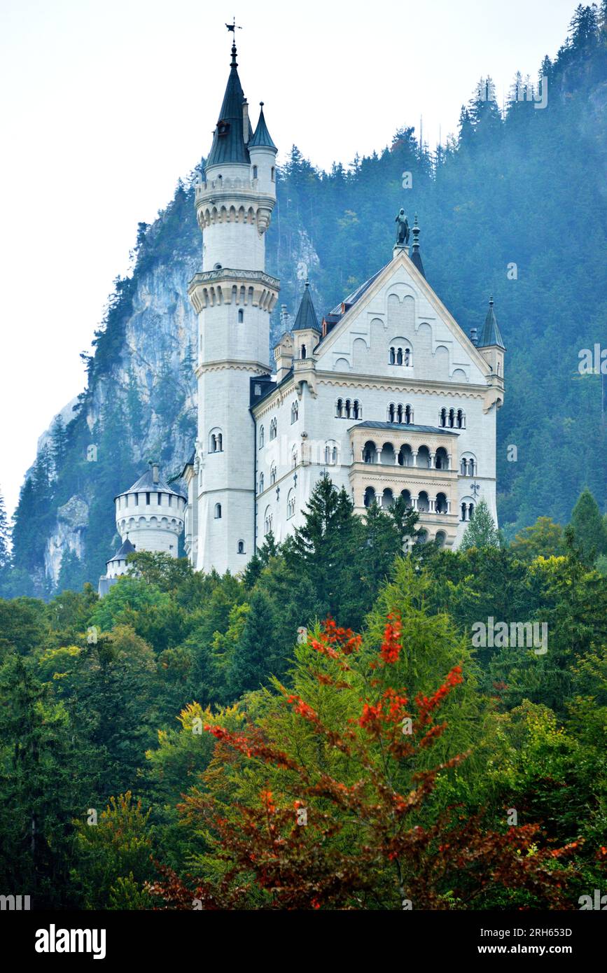 Neuschwanstein castle in autumn Stock Photo - Alamy