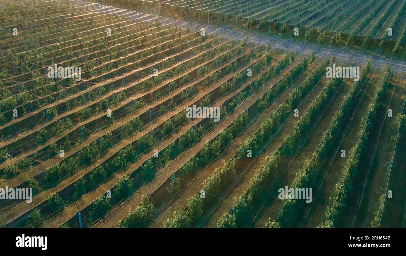 Shade netting garden hi-res stock photography and images - Alamy