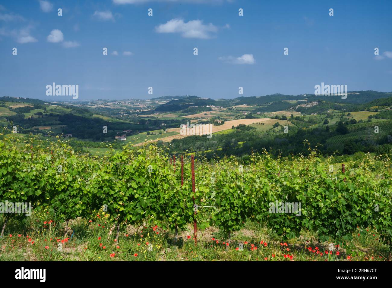 Rural landscape on the Tortona hills, Alessandria province, Piedmont ...