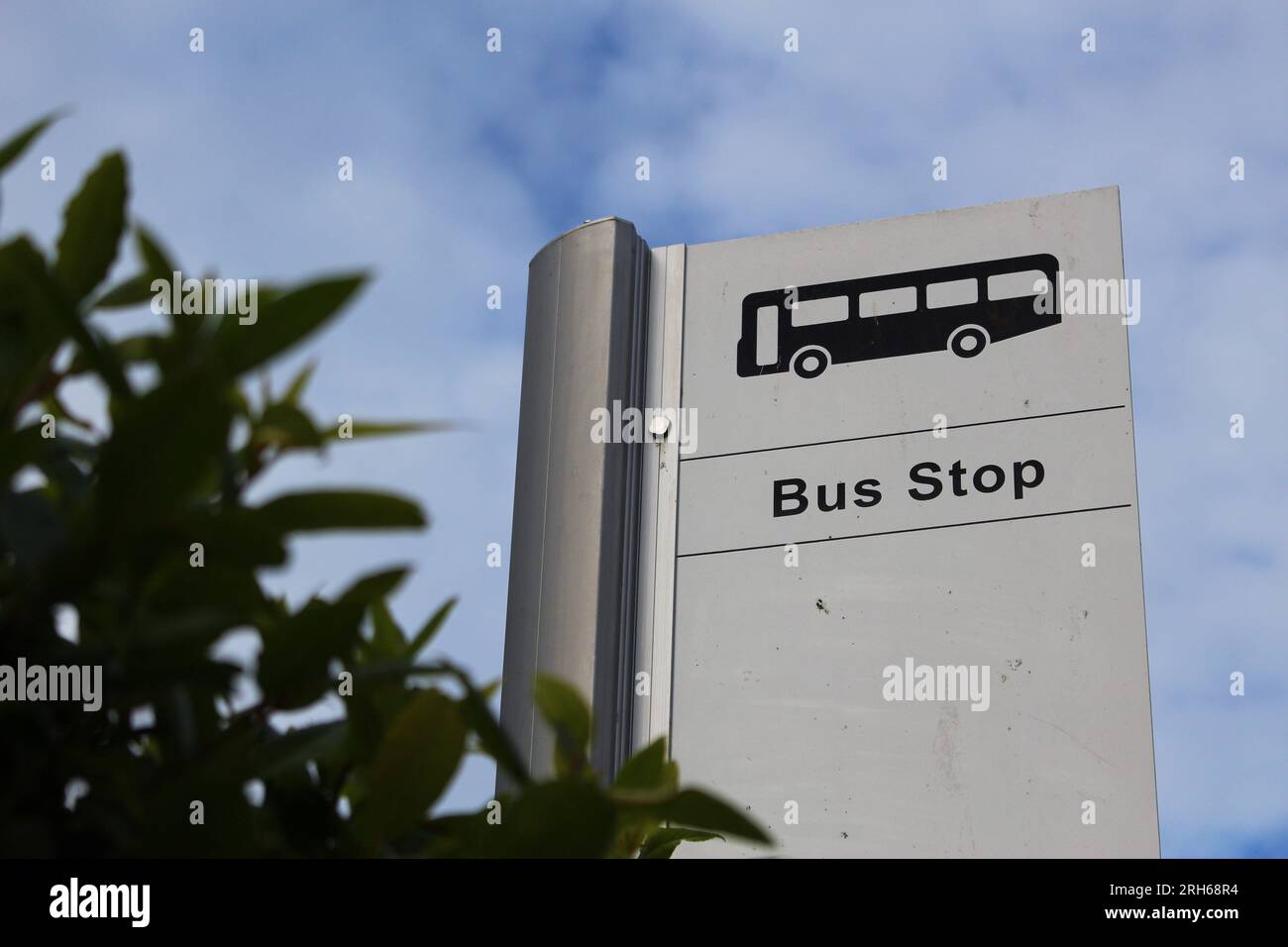 Low angle view of a white bus stop sign with a black bus on it Stock ...