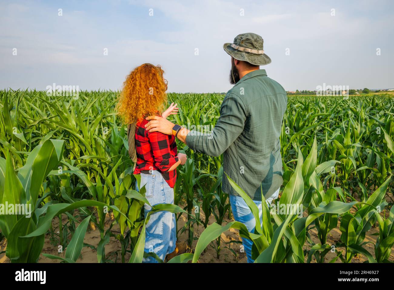 Portrait of farmers who are cultivating corn. They are examining ...