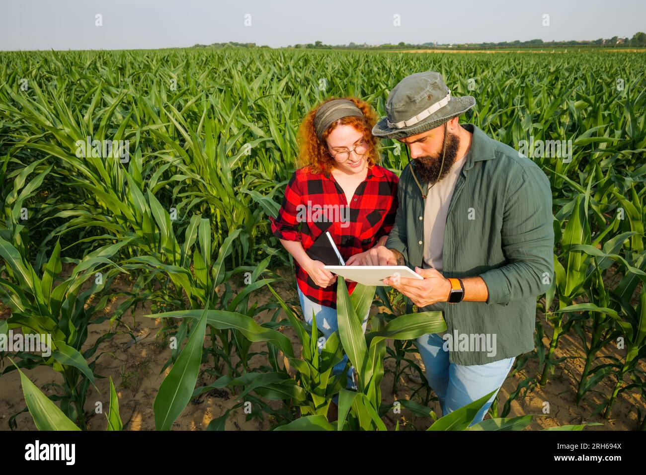 Portrait of farmers who are cultivating corn. They are examining progress of the plants ...