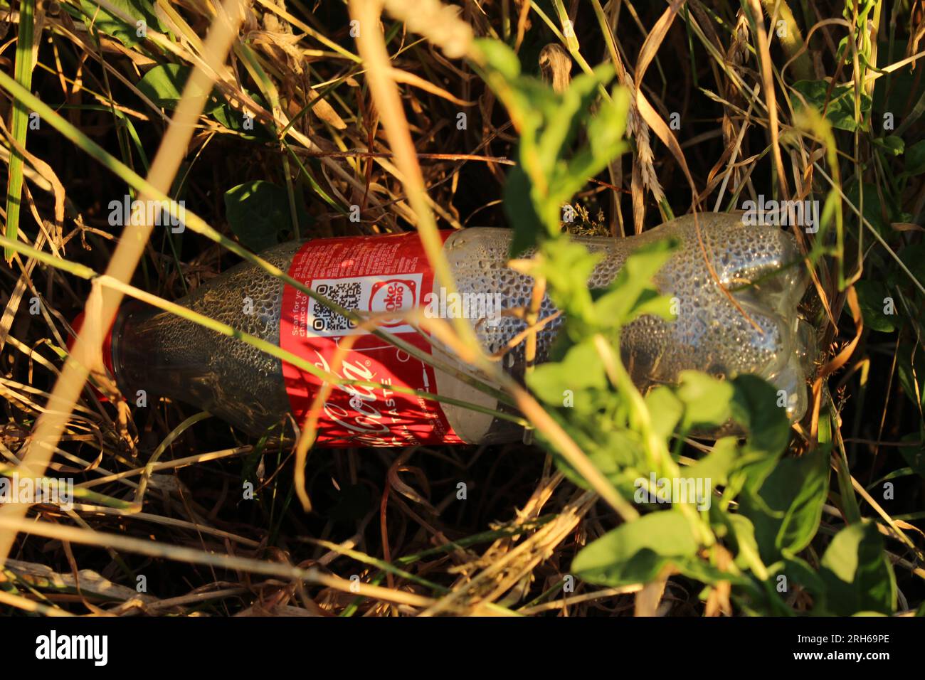 Recyclable clear plastic coca cola bottle littered in a meadow ...