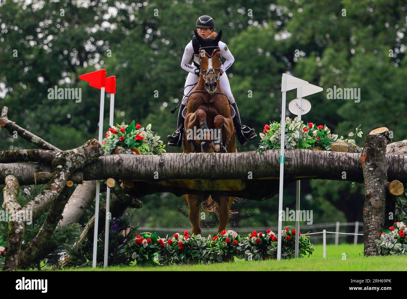 Haras du pin 2023 hi-res stock photography and images - Alamy