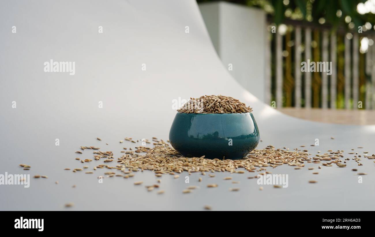 Cumin or jeera seeds into a bowl isolated in gray background Stock ...